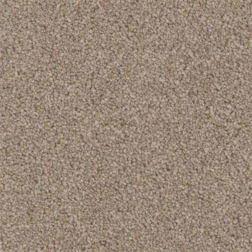Microban® Polyester - Tweed Raw Silk by Phenix Carpet - Winston Salem, NC - Carpet Designers Inc